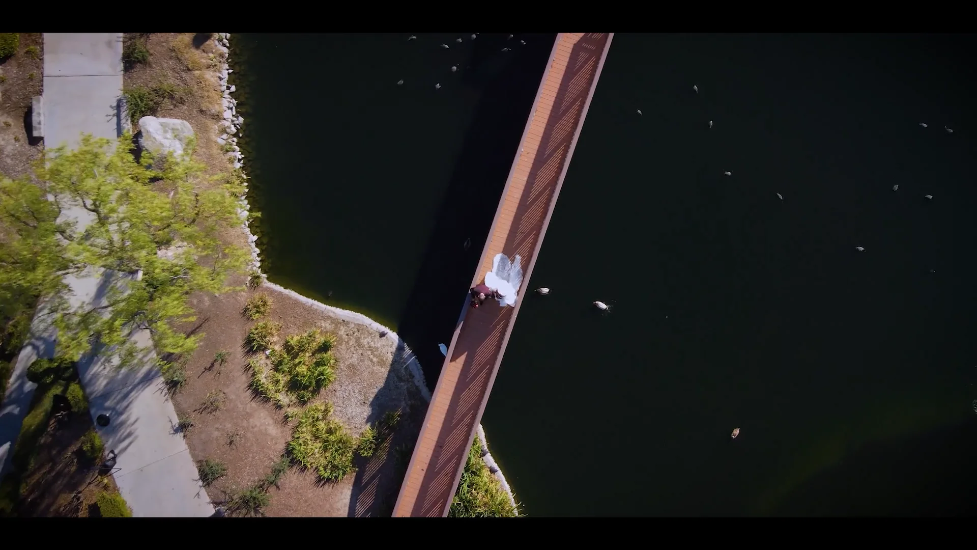 Alaa & Morad wedding