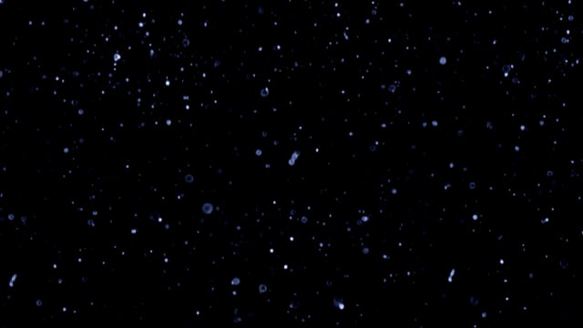 Specs, Dust, Stars. Free Stock Video - Pixabay