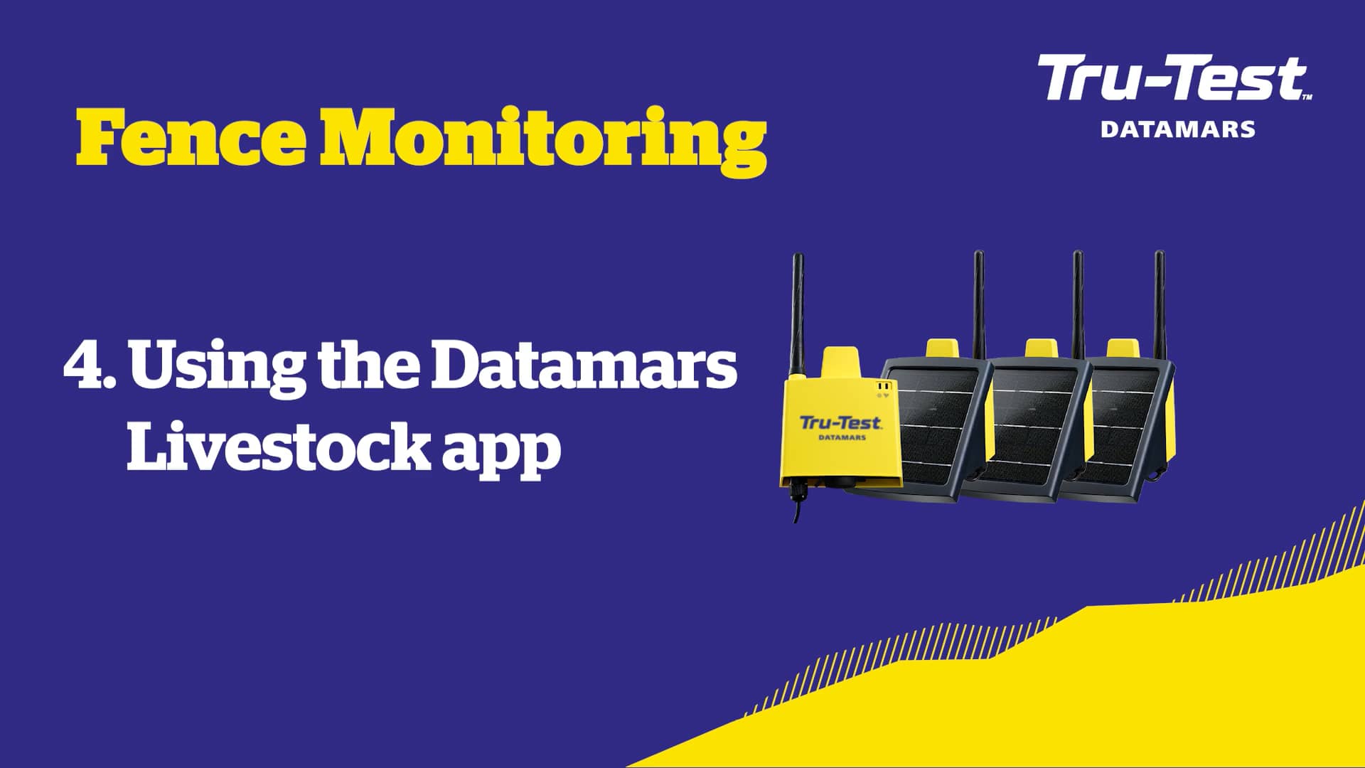 4. Using the Datamars Livestock app on Vimeo