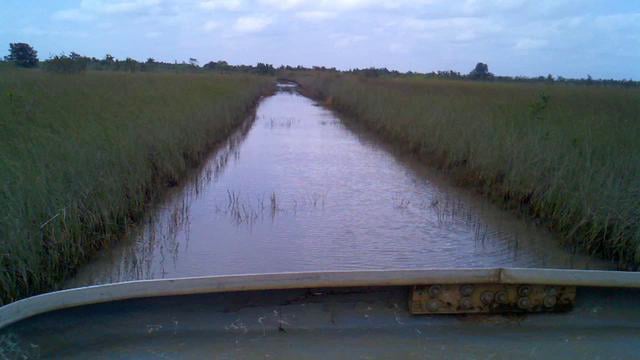 Fan Boating through the Everglades in FL on Vimeo