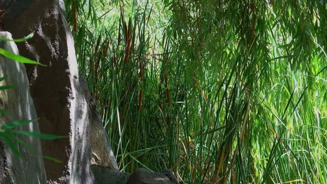 Ailsa Russell channel on Vimeo