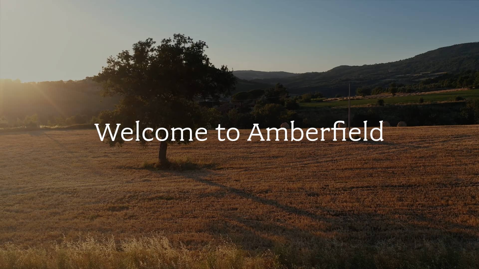 LDK Amberfield Fly Through on Vimeo