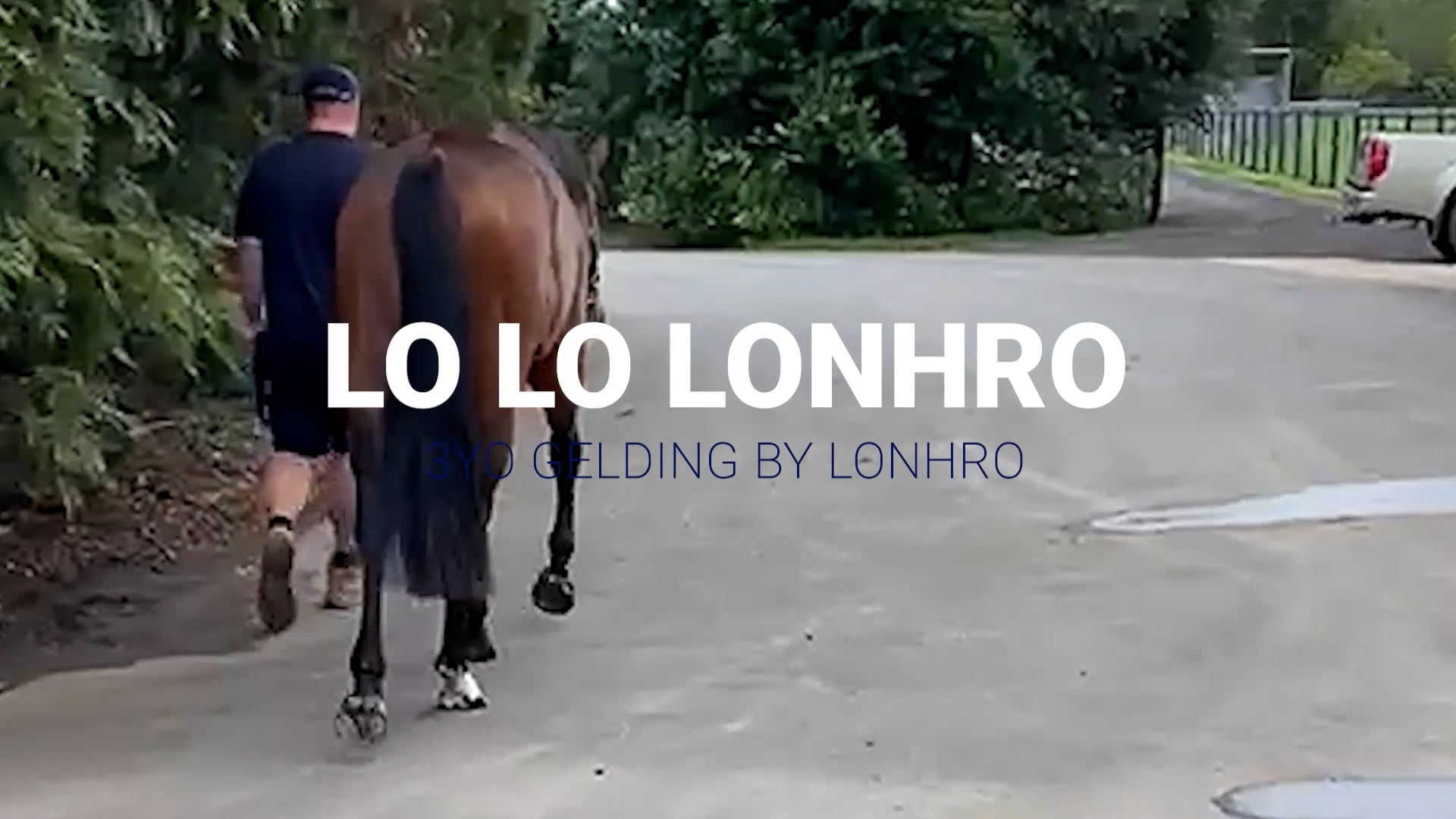 LO LO LONHRO - Racing Club No 4 on Vimeo