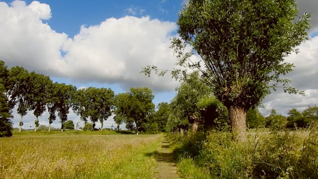 Landscape, Rural, Field. Free Stock Video - Pixabay