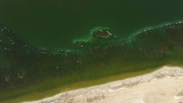 Beach Kiev Sea Coast - Free video on Pixabay