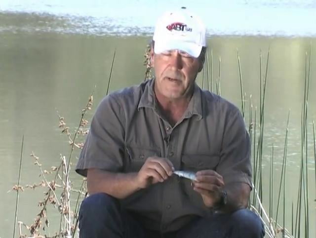 ABT Lures: Banshee Swimbaits on Vimeo