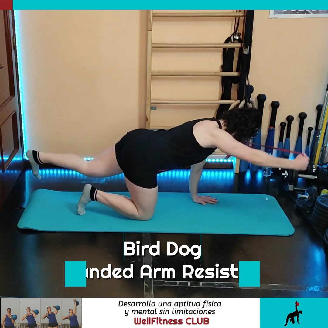 Bird Dog Banded Arm Resisted on Vimeo