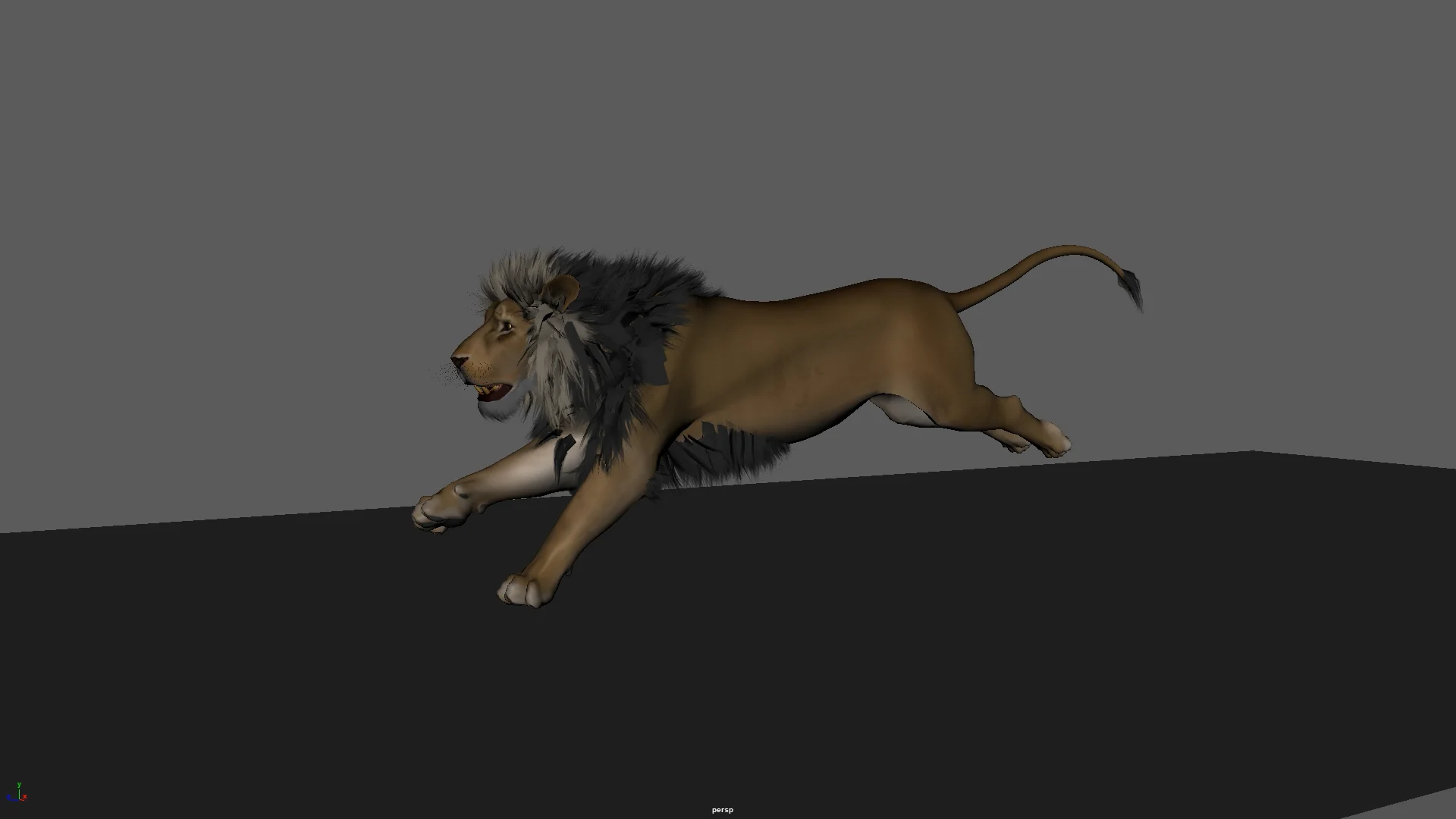 lion run cycle on Vimeo