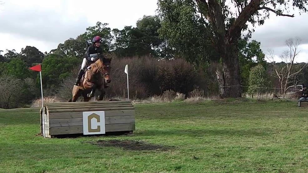 Sally Roydhouse riding BR Ramba Zamba 149 EvA95 Friends of Woady Horse ...