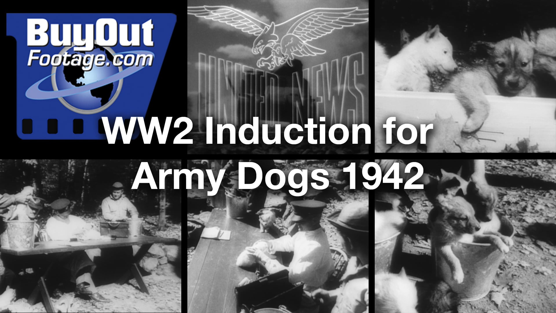 U.S. Army Inducts Sled Dogs for Service in the Arctic 1942 | WW2 on Vimeo