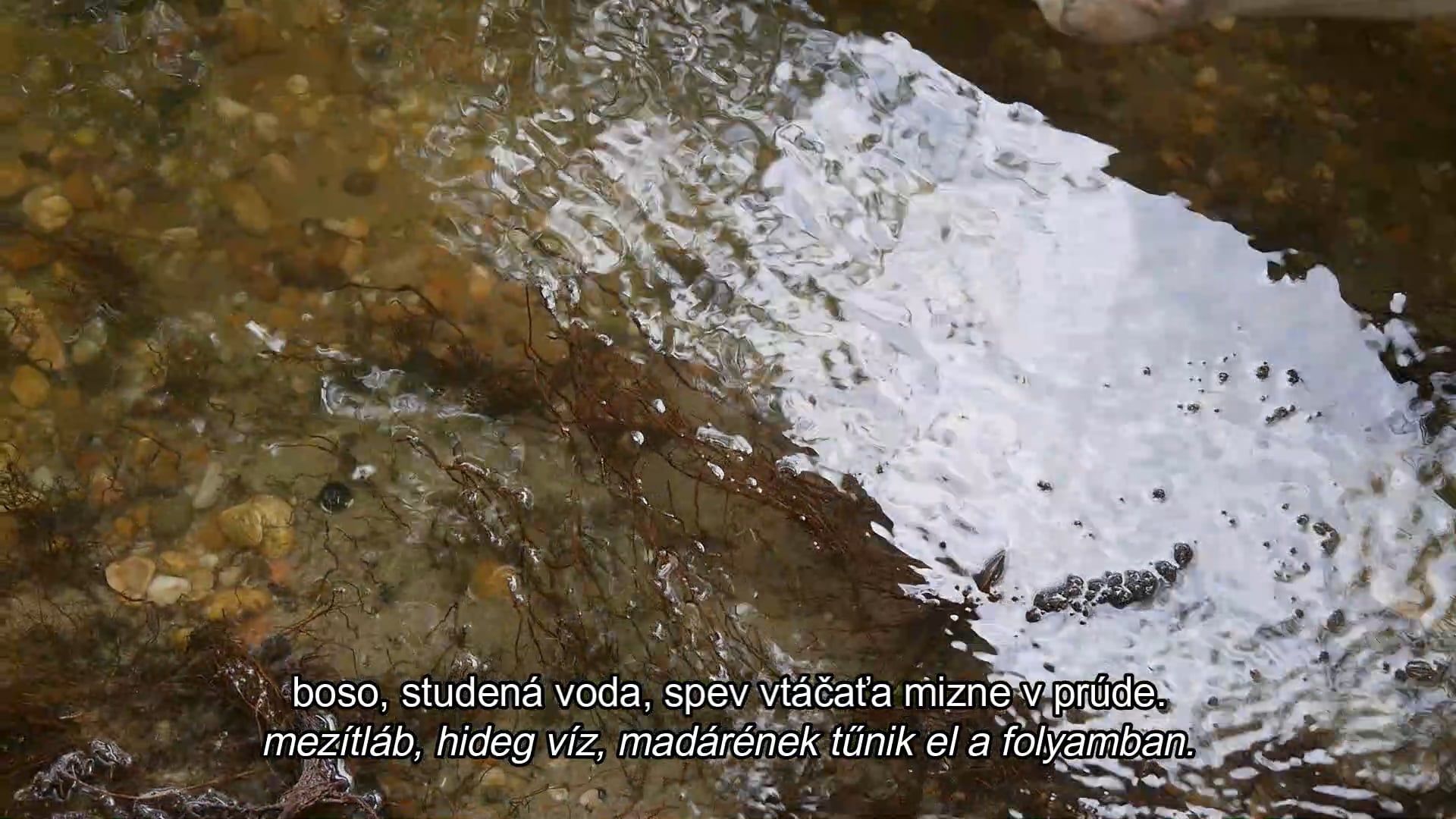 A Bridge of Reflection by Jason Staggie on Vimeo