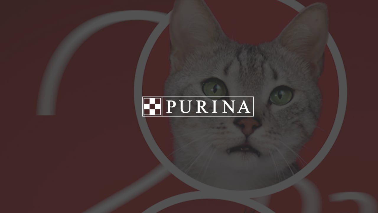 Purina_Commercial_16:9 on Vimeo