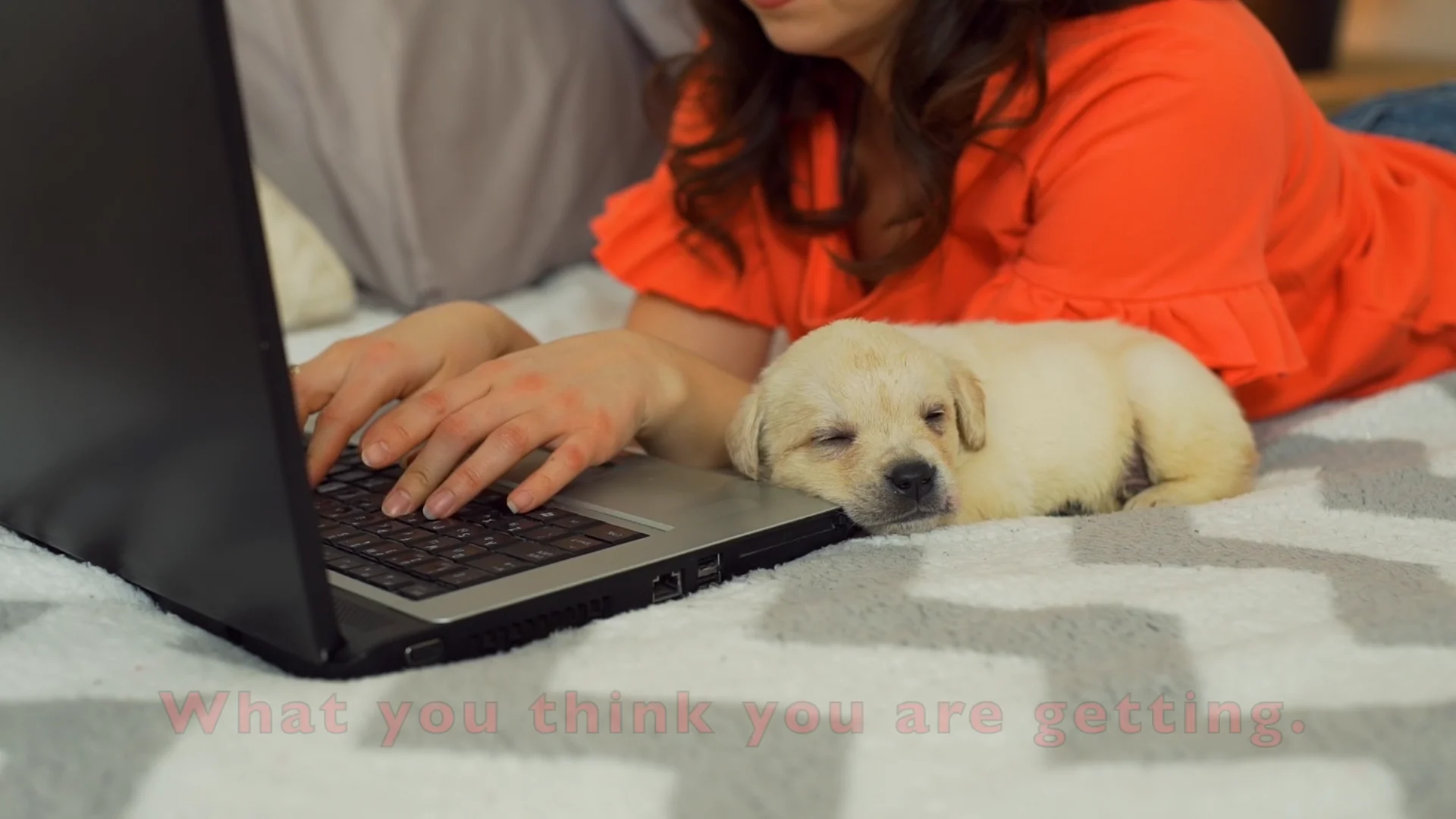 LGB+ Joint Vit News: ZOI Research Drops Clear Nutraceutical Detox ...