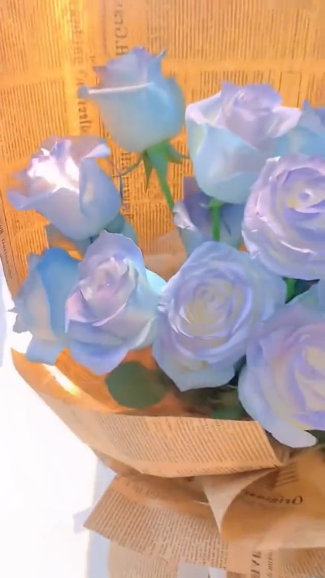 Callum Maxwell on Vimeo