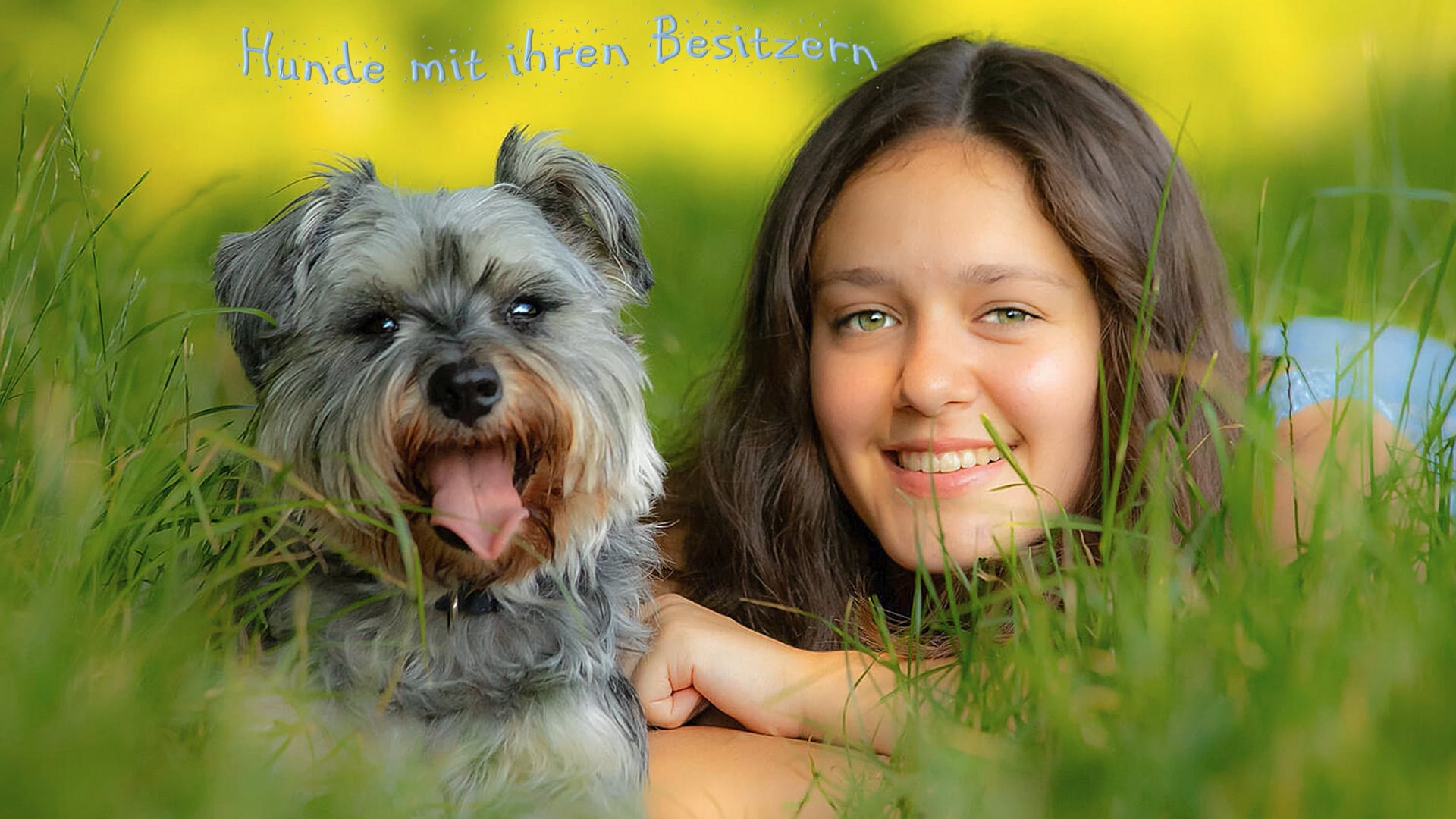 Dogs with their owners.mp4 on Vimeo