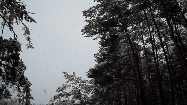 Snow Storm Videos: Download 32+ Free 4K & HD Stock Footage Clips - Pixabay
