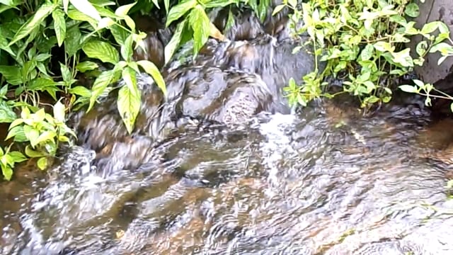 River, Water, Source. Free Stock Video - Pixabay