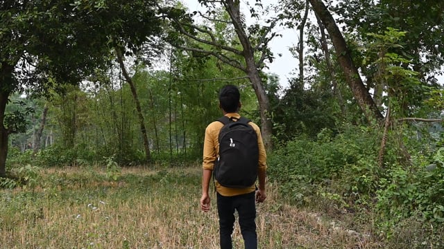 Walking Video Videos: Download 6+ Free 4K & HD Stock Footage Clips ...