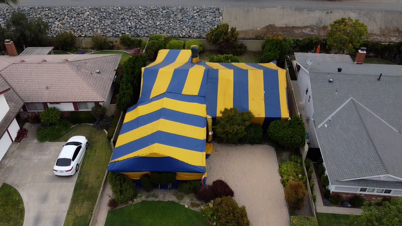 Long Beach Termite & Pest Control - Pest Control, Termite Control