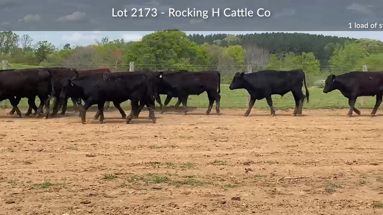 2173-Rocking H Cattle Co.mp4 on Vimeo