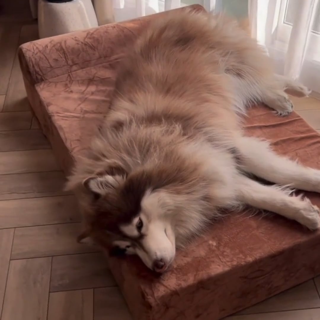 Binky Barker UGC June 2022 on Vimeo