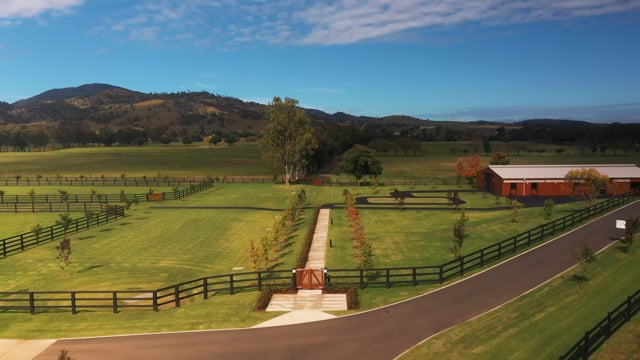 Farnan - Stallion | Breednet