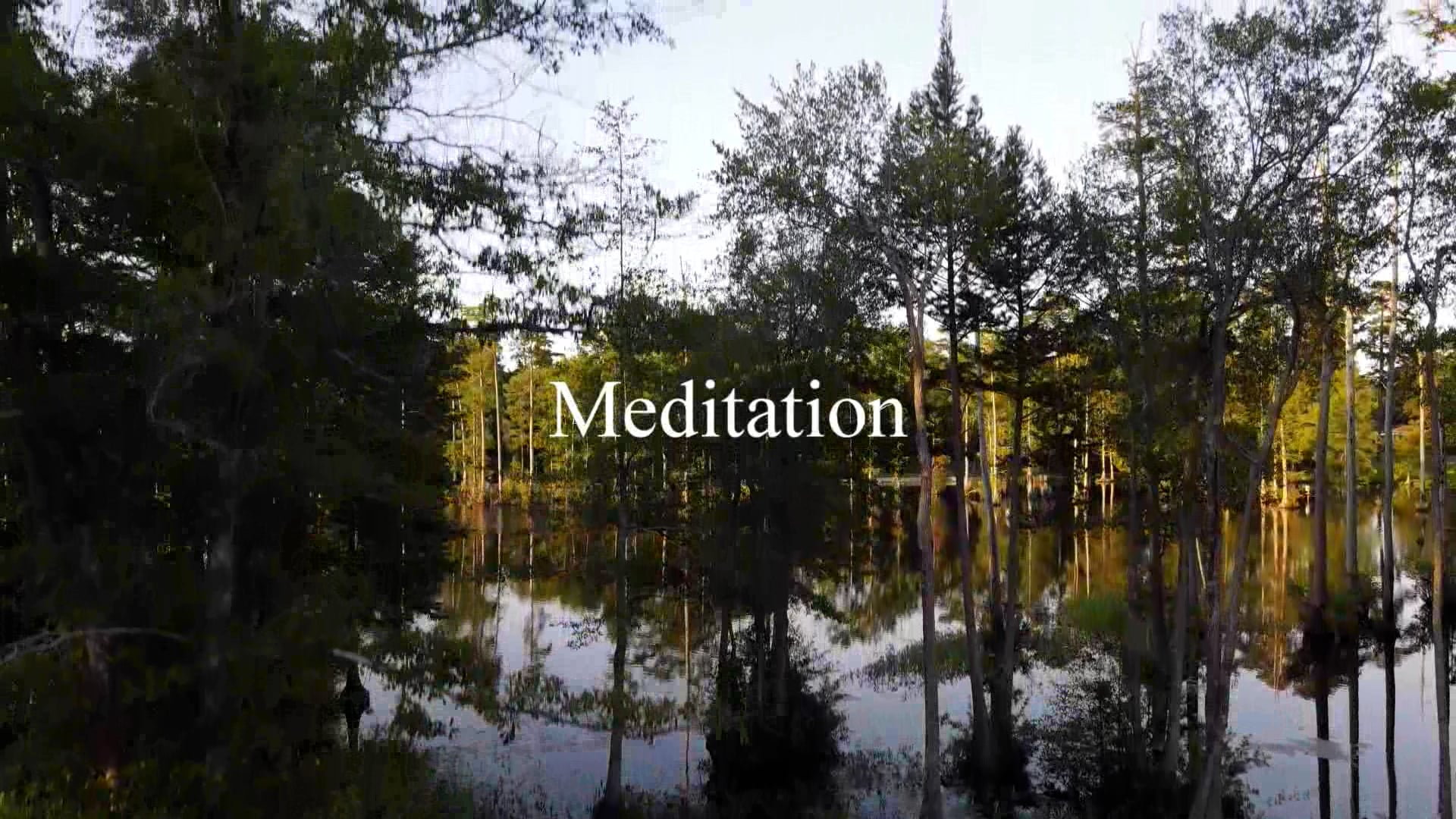 meditation.movie.mp4 on Vimeo