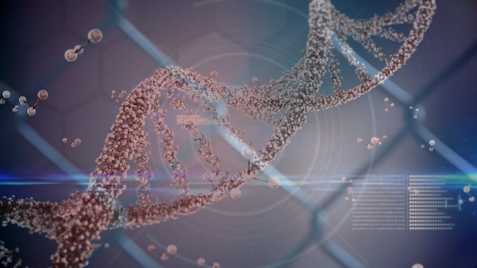 Animation of dna strand spinning over data processing and exercising ...