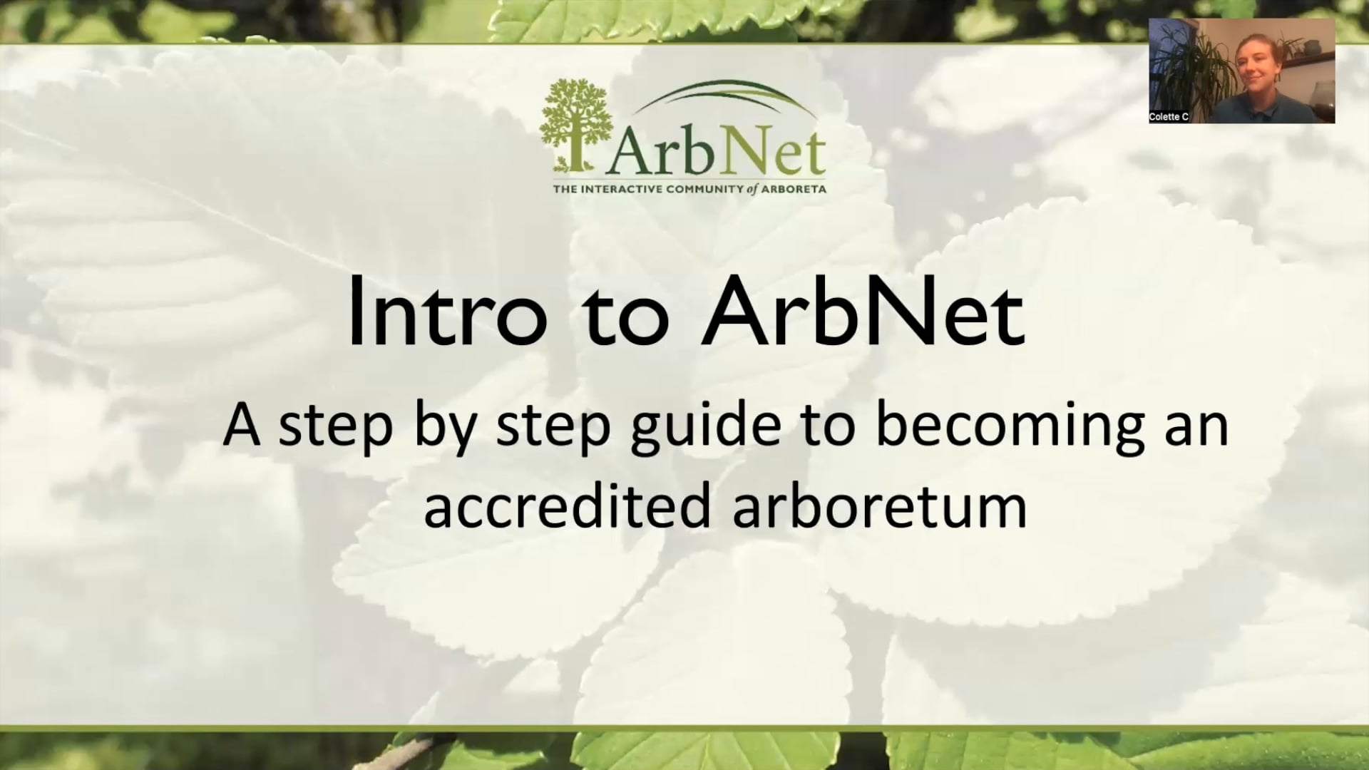 Intro to ArbNet.mp4
