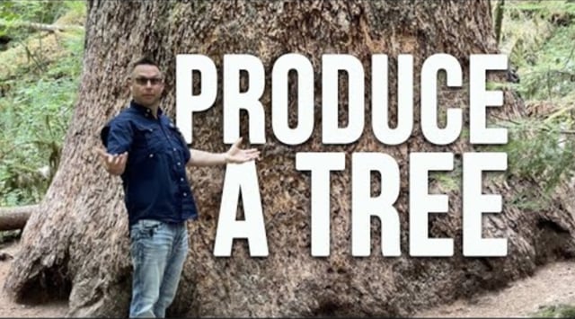 SGTM Tree Rush on Vimeo