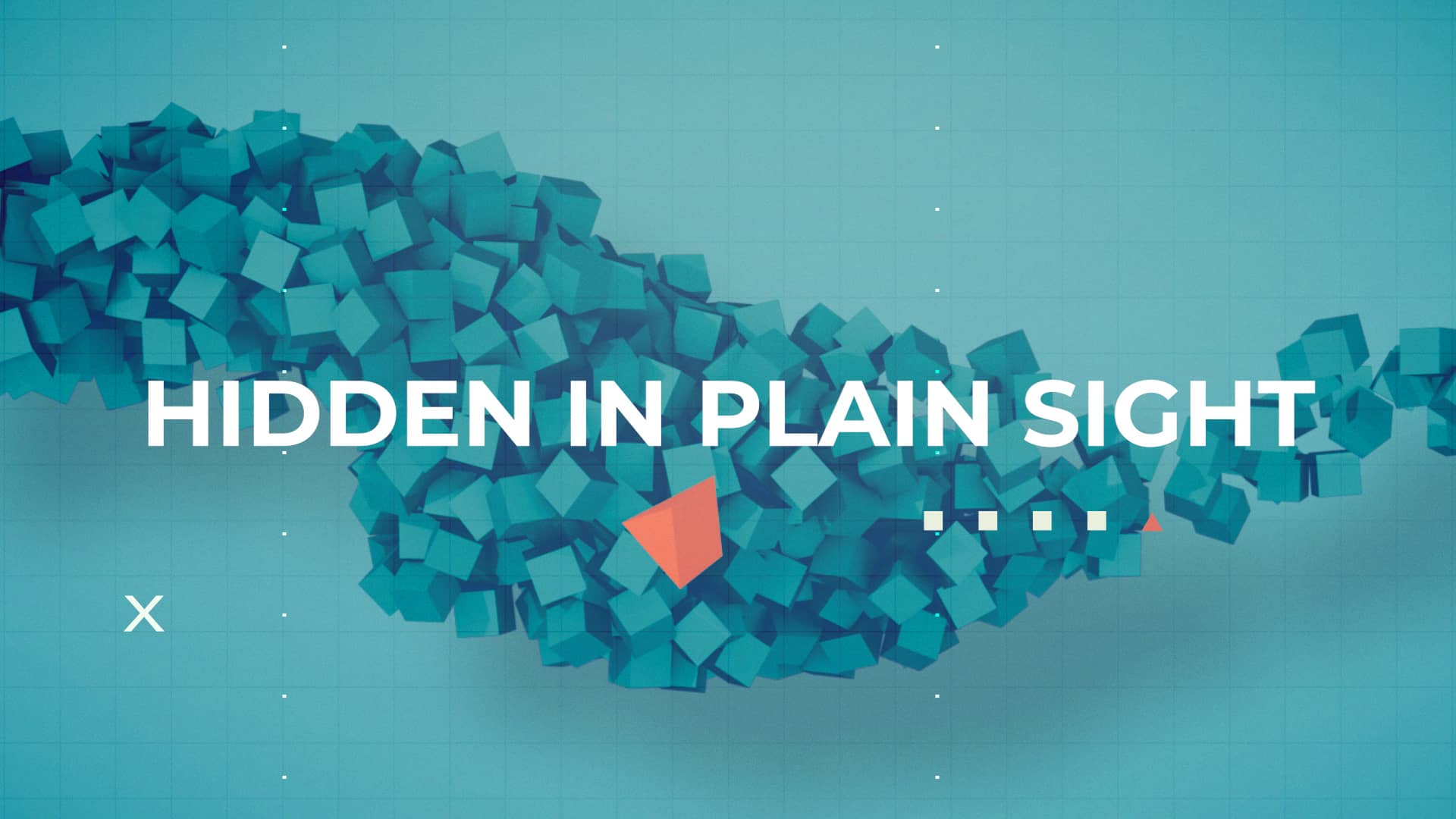 Hidden In Plain Sight Week 1 on Vimeo