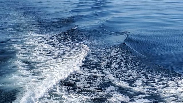 Boat Ocean Sea Pacific - Free video on Pixabay