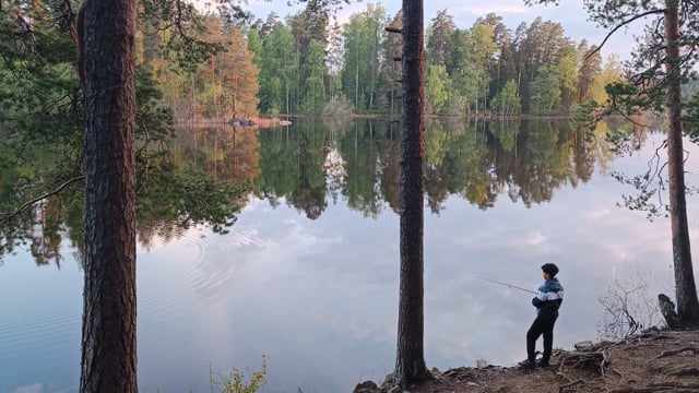 Fishing Lake Forest - Free video on Pixabay - Pixabay