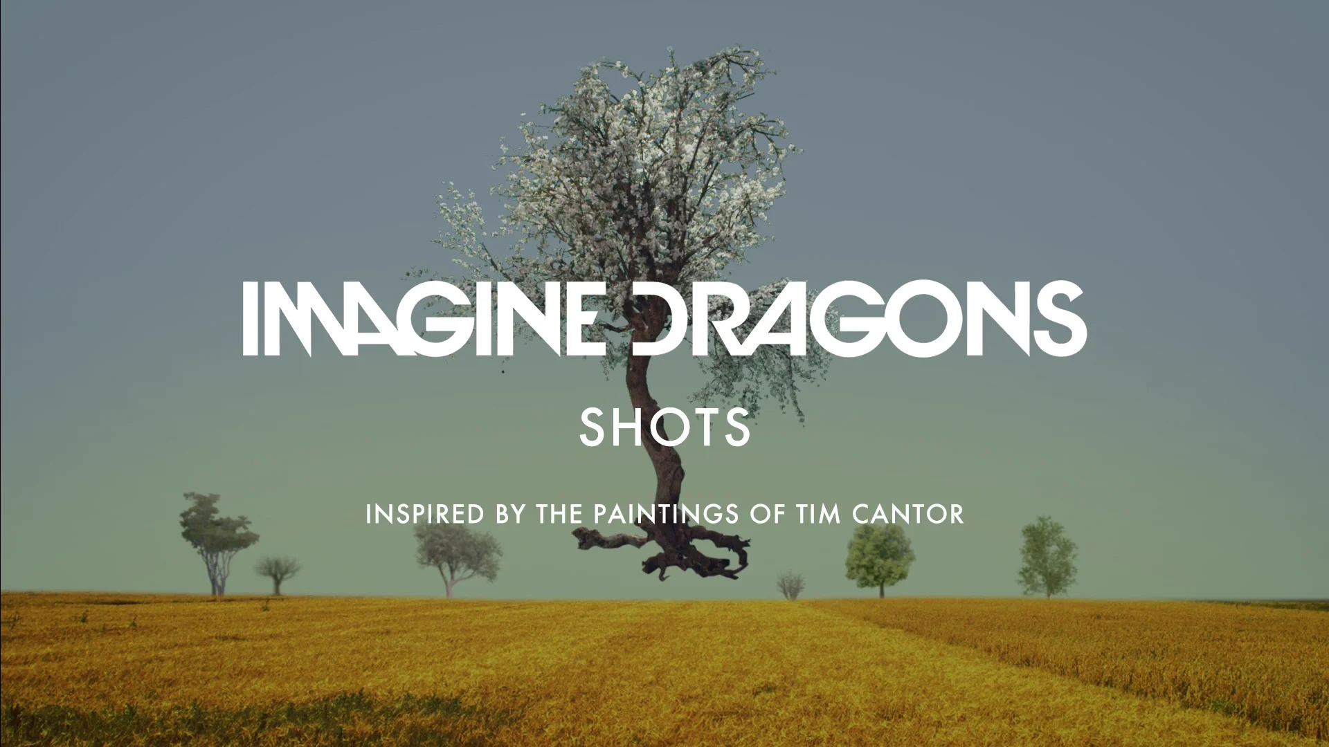 Imagine Dragons - Shots (Official Music Video)-(1080p)