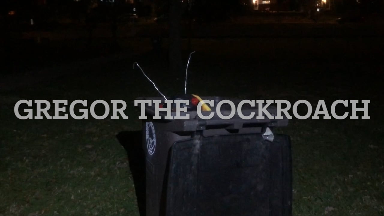 gregor the cockroach on Vimeo