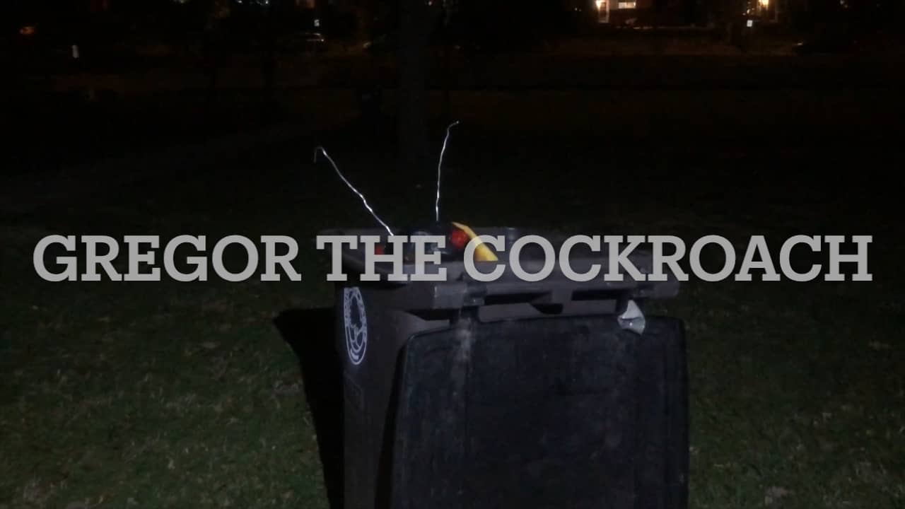 gregor the cockroach on Vimeo