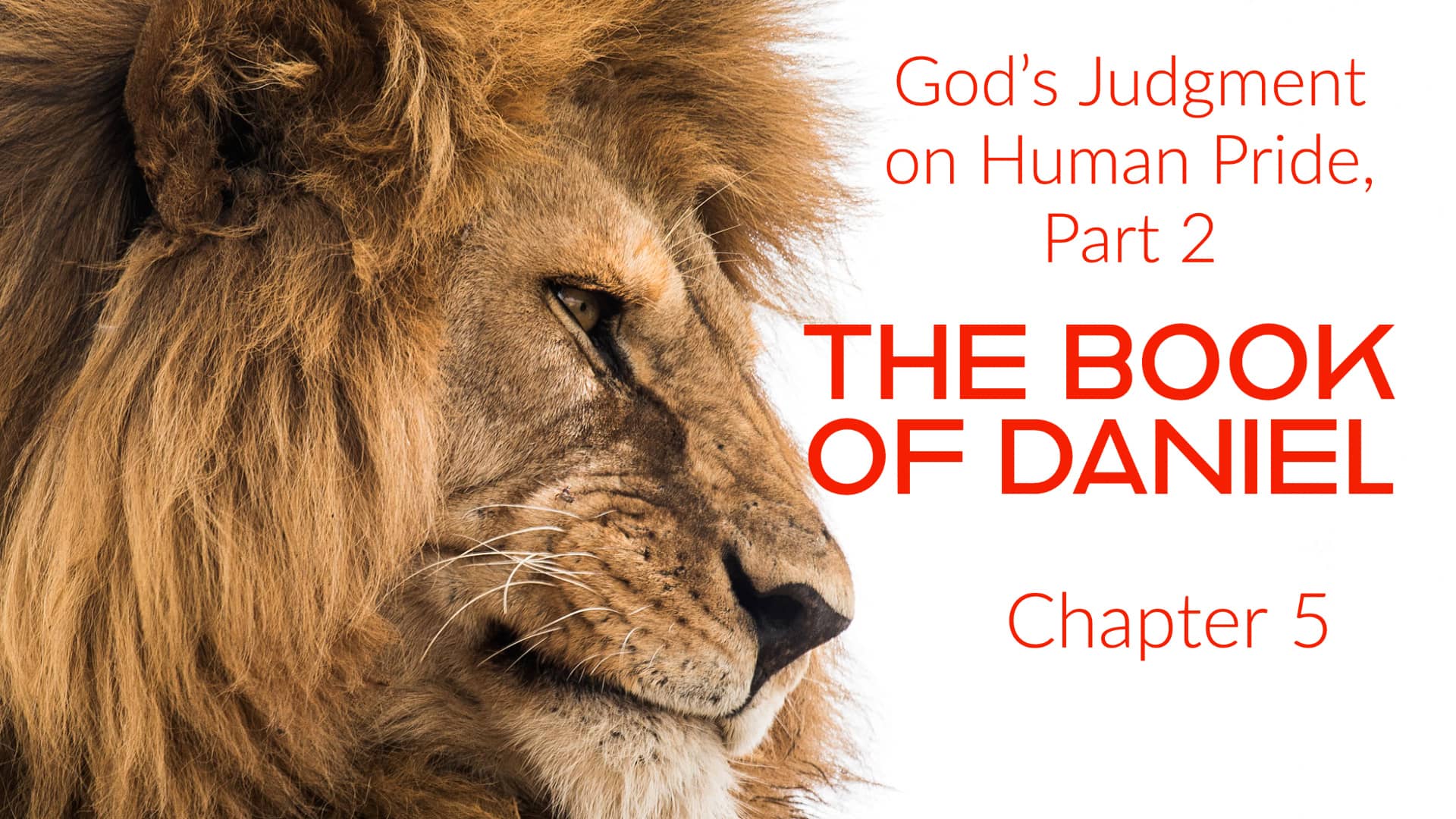 The Book of Daniel, Chapter 5 - Part 2 on Vimeo