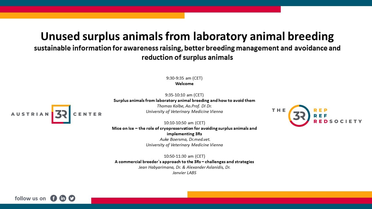 Unused surplus animals from laboratory animal breeding 2022-06-07 on Vimeo