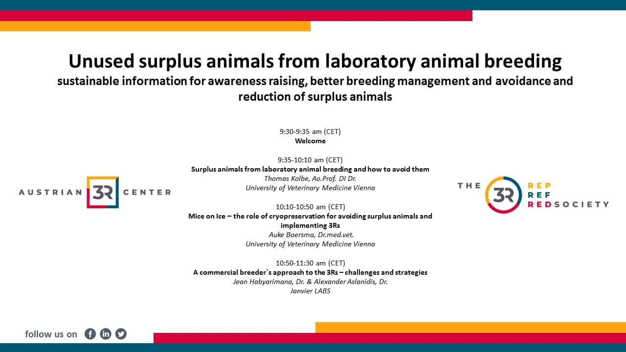 Unused surplus animals from laboratory animal breeding 2022-06-07 on Vimeo