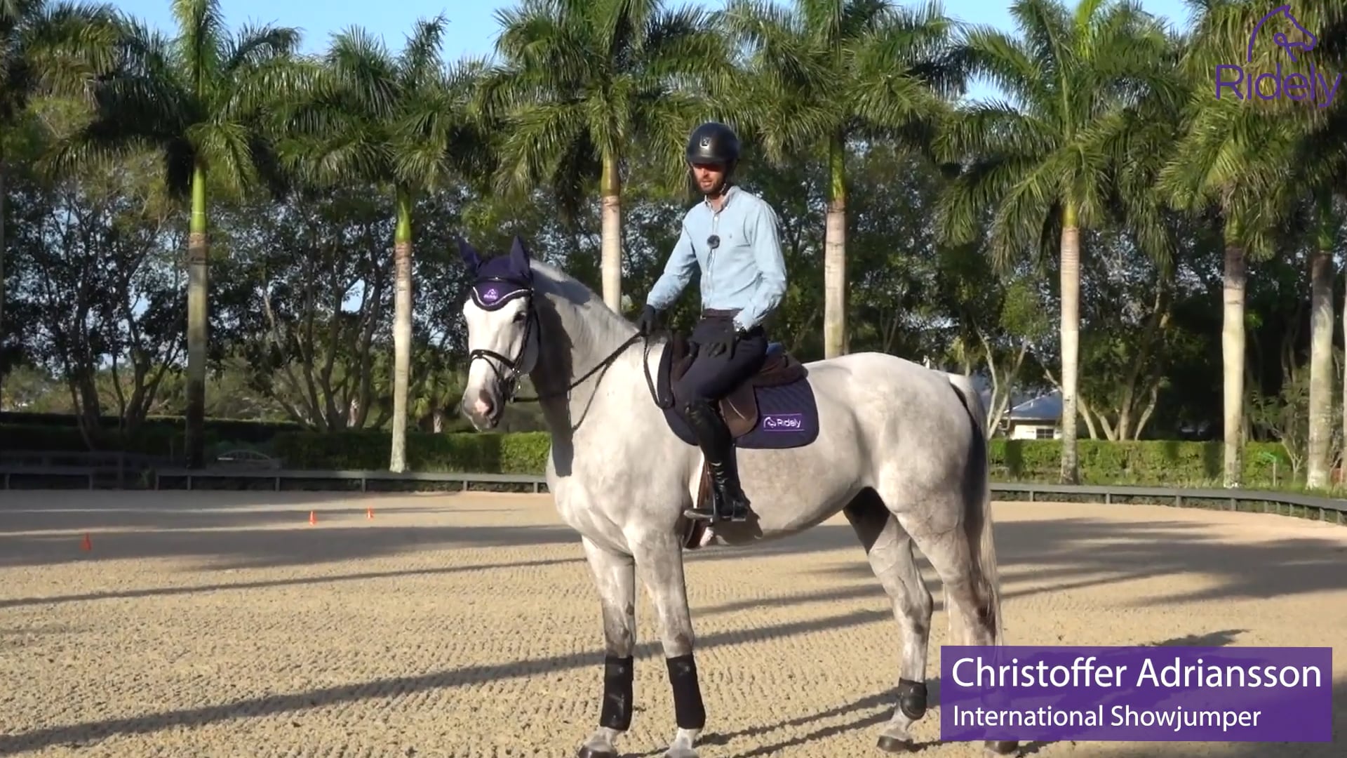 Serpentines With Cones & Lateral Work: Part 1 | Ridely