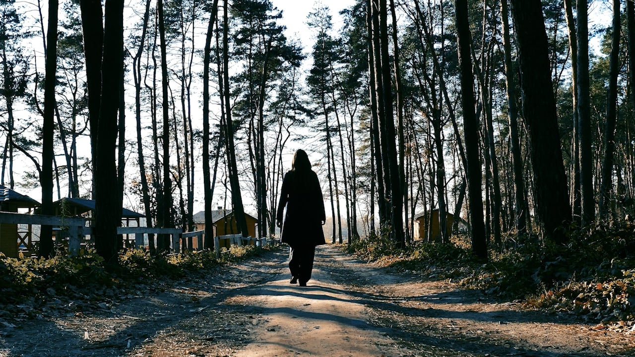 Dan Nold - Joy in the Journey (06.12.2022) on Vimeo