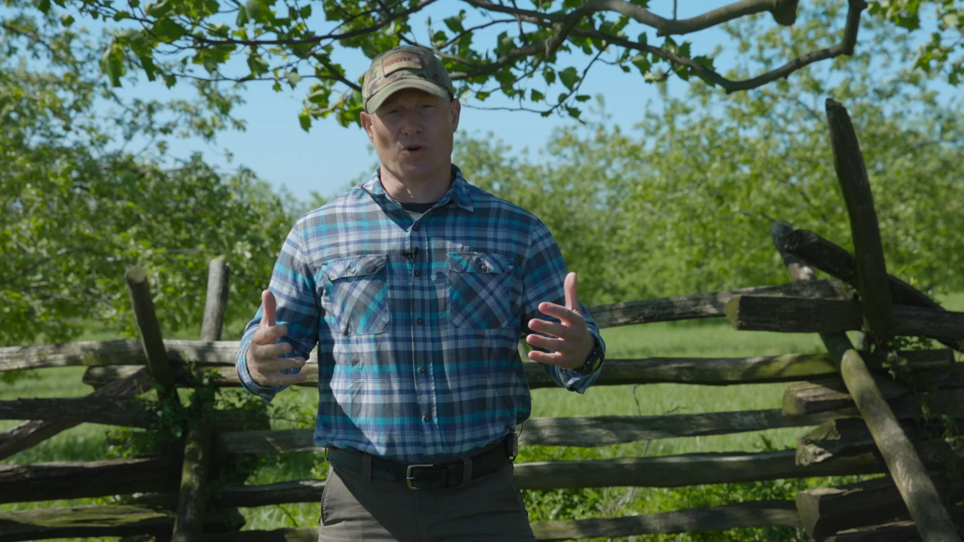 Default Aggressive (BF Leif)