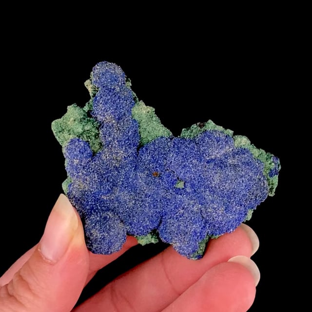 Azurite concretions on Malachite (ex Gary Weaver Collection) | Blue ...