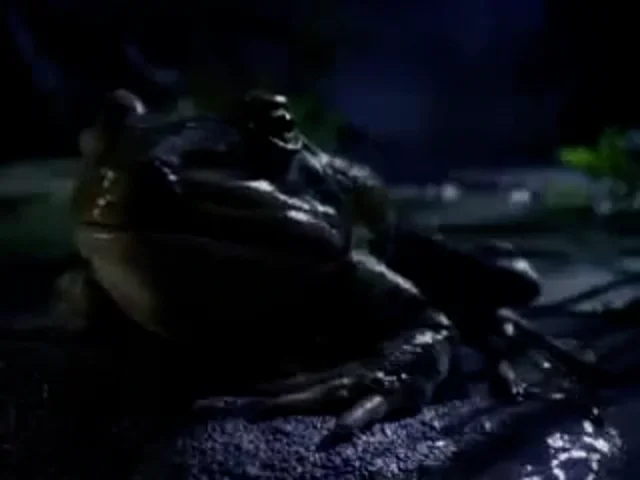 Budweiser Frogs Commercials Super Bowl