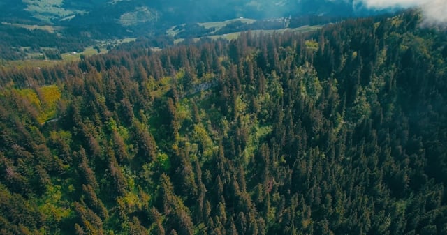 Ultimate Nature Video Collection: Download 4K, 1080p & Copyright-Free ...