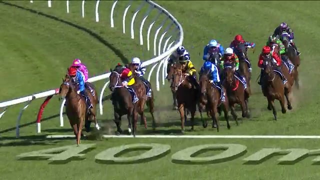 Reliable Man - Stallion | Breednet