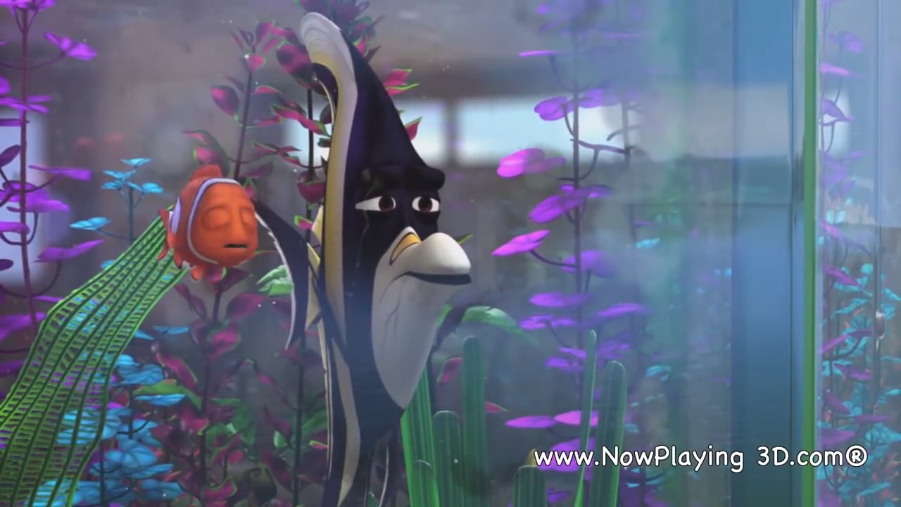 Opening To Finding Nemo 2003 DVD 2 on Vimeo