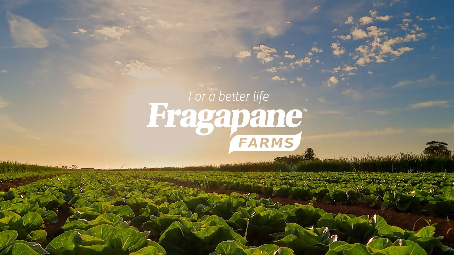 Fragapane Farms on Vimeo