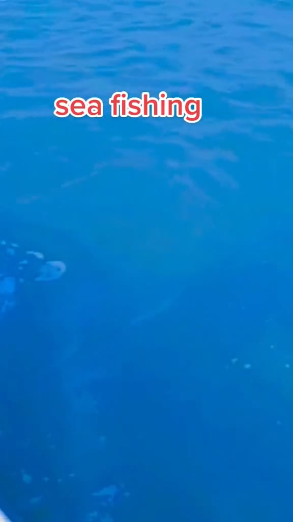 sea fishing on Vimeo