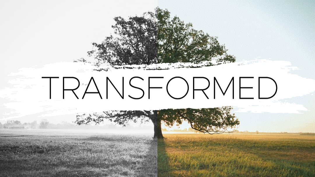 Transformed Series - Transformed to a new family on Vimeo